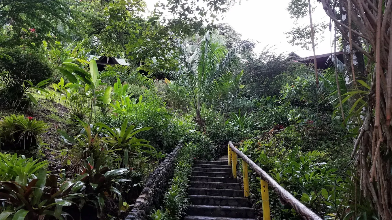 An Overview of Aguila De Osa Eco-Lodge in Osa Peninsula Costa Rica